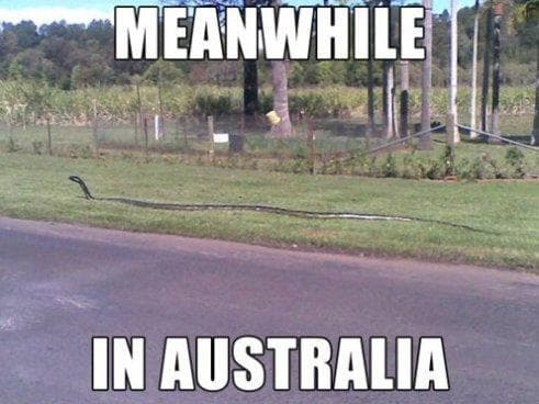 The Most Australian Things That Ever Happened