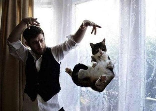 Photos That Were Snapped at the Perfect Time