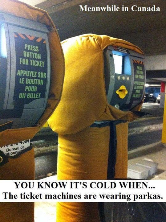 Meanwhile in Canada: Funny Photos of Canadian Life