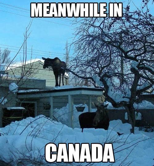 Meanwhile in Canada: Funny Photos of Canadian Life