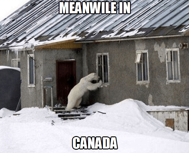 Meanwhile in Canada: Funny Photos of Canadian Life