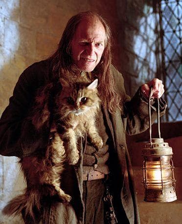 Crazy Harry Potter Fan Theories That Just Might Be True