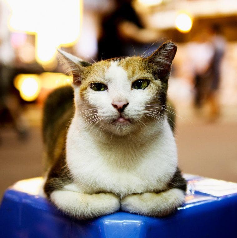 12 Struggles Every Sarcastic Person Understands