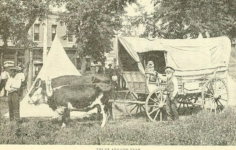 The Grisliest Deaths on the Oregon Trail