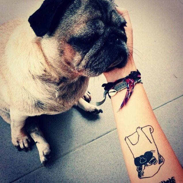 33 People Who Got Tattoos of Their Pet
