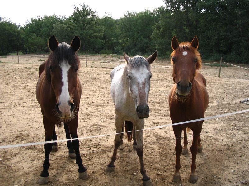 Hardest Riddles Most People Can't Solve