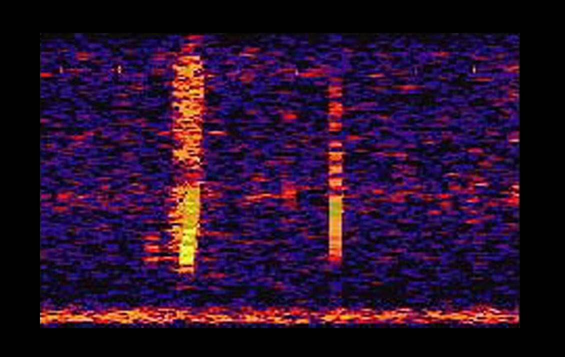 The 12 Strangest Mysteries That Were Actually Solved