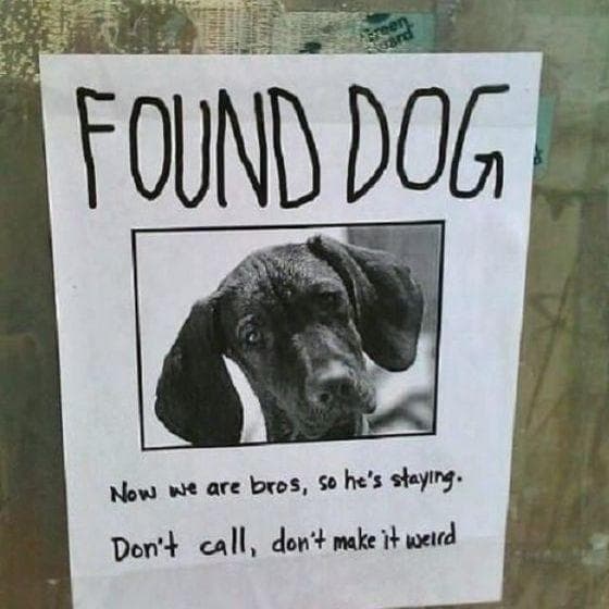 25 Funny Lost and Found Signs That Are on Point