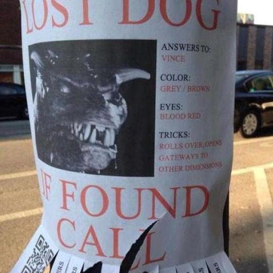25 Funny Lost and Found Signs That Are on Point
