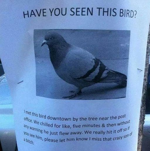 25 Funny Lost and Found Signs That Are on Point