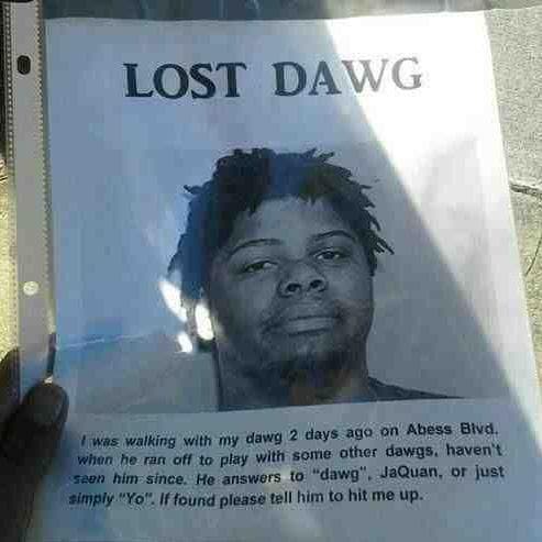 25 Funny Lost and Found Signs That Are on Point