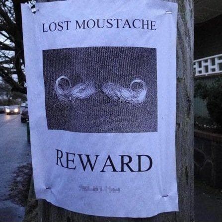 25 Funny Lost and Found Signs That Are on Point