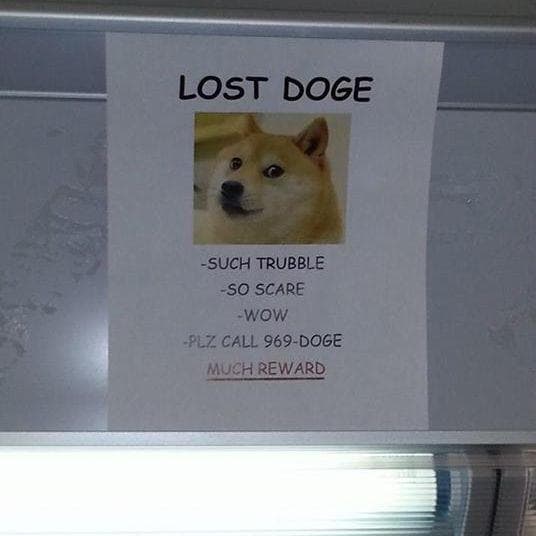 25 Funny Lost and Found Signs That Are on Point