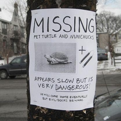 25 Funny Lost and Found Signs That Are on Point