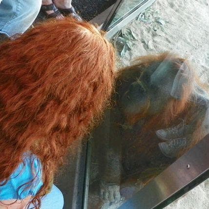 22 Hilarious Mirror Reflections Caught on Camera