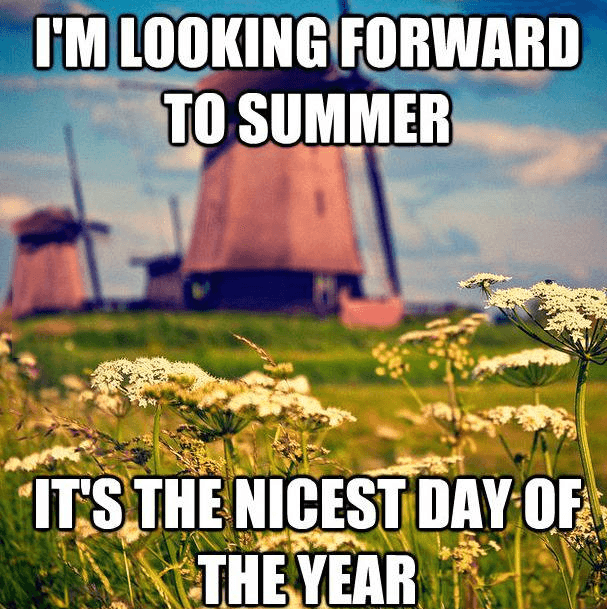 21 Funny Summertime Memes That Are Too Real