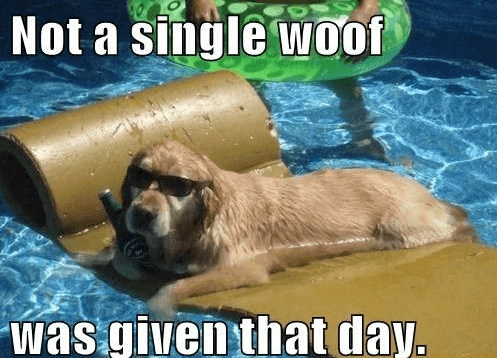 21 Funny Summertime Memes That Are Too Real
