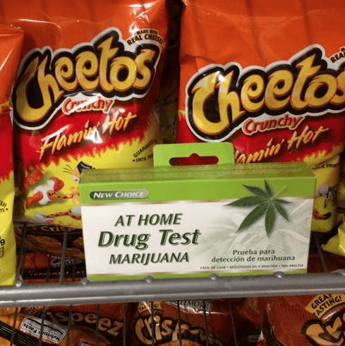 Funny Dollar Store Finds You'd Probably Buy