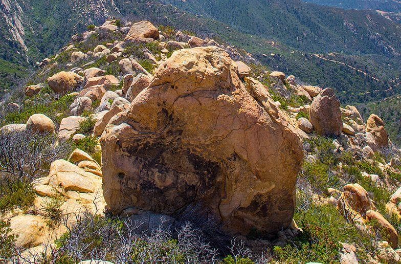 Fun Facts About Balls & Testicles You Should Know