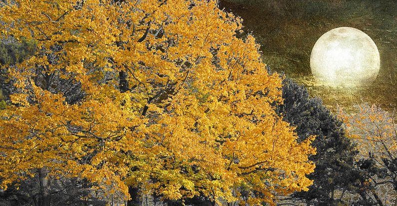 Fun Facts About Balls & Testicles You Should Know