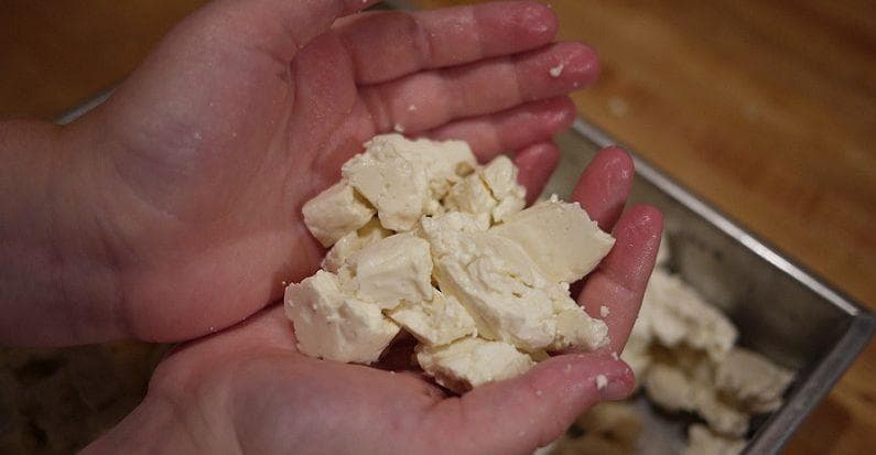 18 Amazing Facts About the Science of Cheese & Cheesemaking
