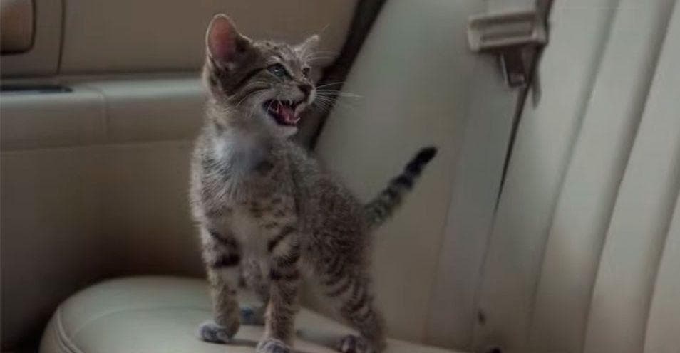 Key and Peele: 24 Interesting Facts You May Not Know