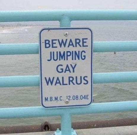 21 Most Confusing Signs That Have Some Explaining to Do - Unshootables