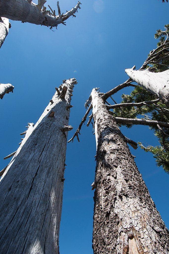 Creepy Stories You Haven't Heard About Crater Lake