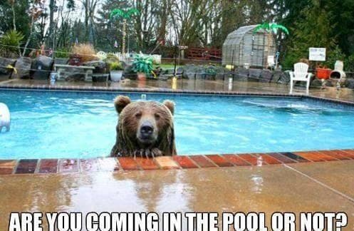 25 Funny Swimming Pool Pictures Just In Time For Summer