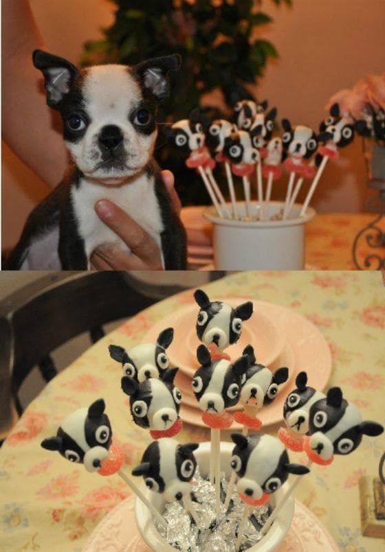 34 Cake Pops That Are Too Funny to Eat