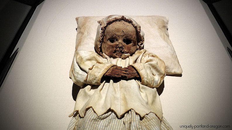 15 Horrifying Things Found Inside Walls