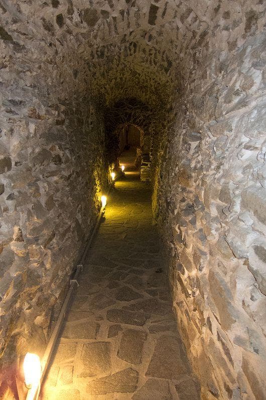 15 Horrifying Things Found Inside Walls