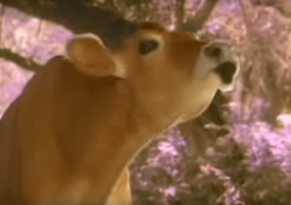 Hilarious '90s Frozen Food Mascots