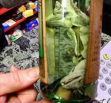 Weird Alcohol That's Made from Strange Substances