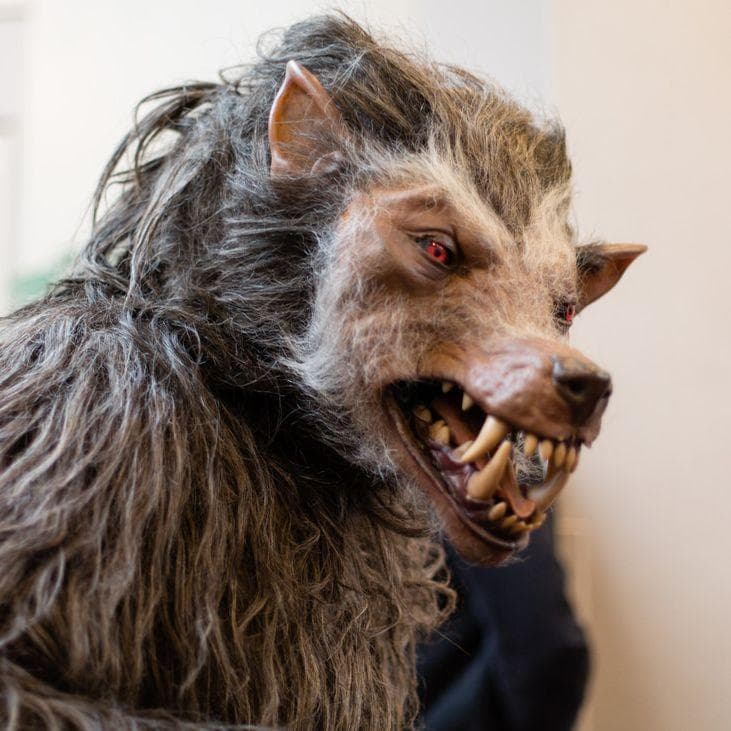 The Craziest Humanoid Cryptids From Every State