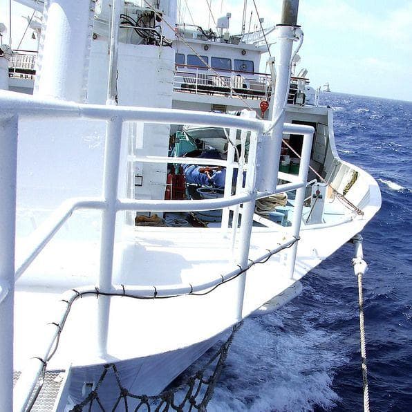 20 People Who Fell Off The Sides of Cruise Ships