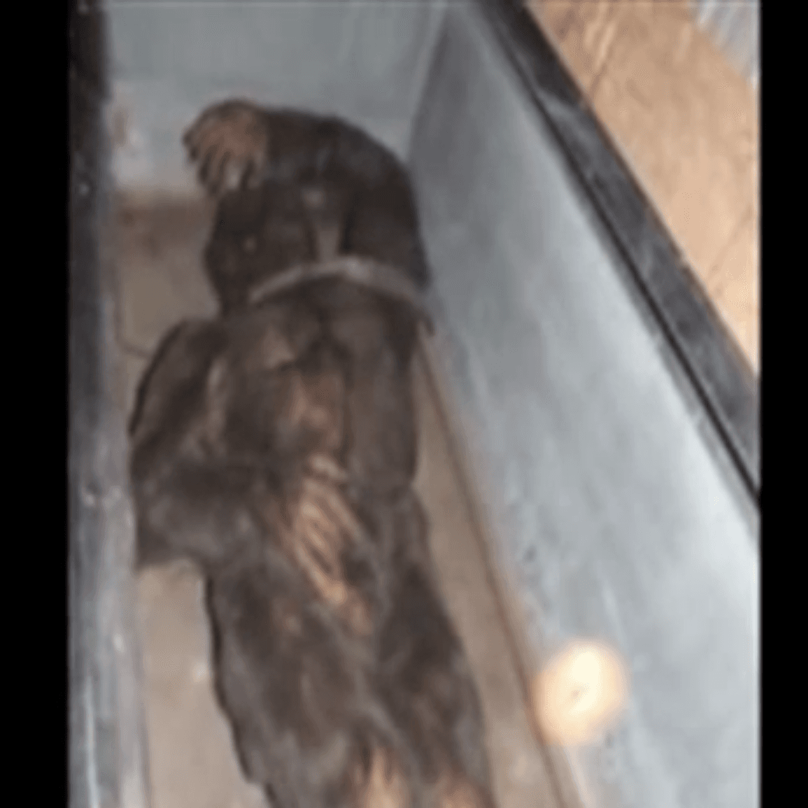 The Craziest Humanoid Cryptids From Every State