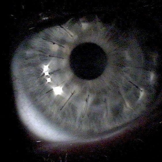 The Craziest Humanoid Cryptids From Every State