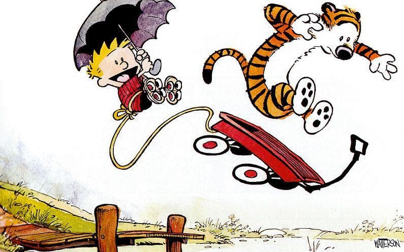 Things You Didn't Know About Calvin and Hobbes
