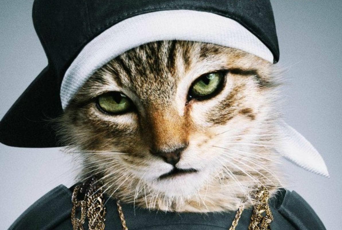 Who Is Keanu Reeves? Stories & Interesting Facts You May Not Know