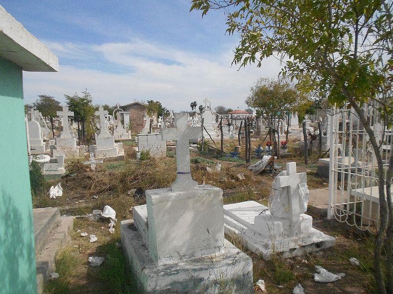 15 Real Instances of Actual Zombies