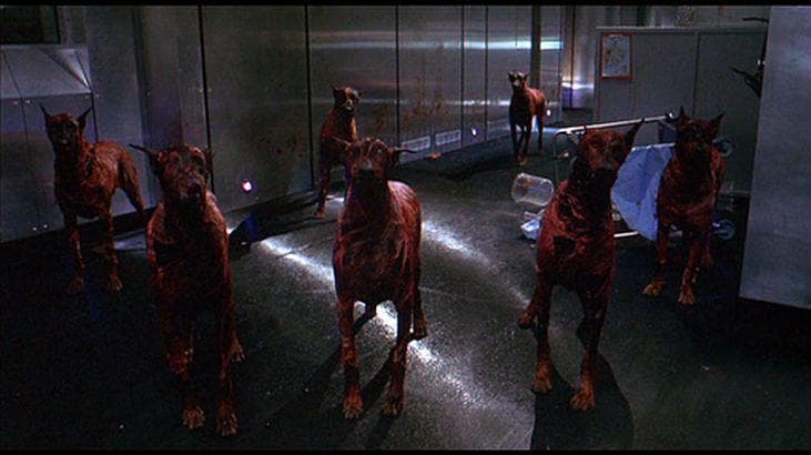 15 Real Instances of Actual Zombies