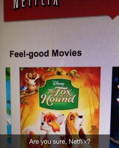 19 Funny Netflix Suggestion Fails That Make No Sense
