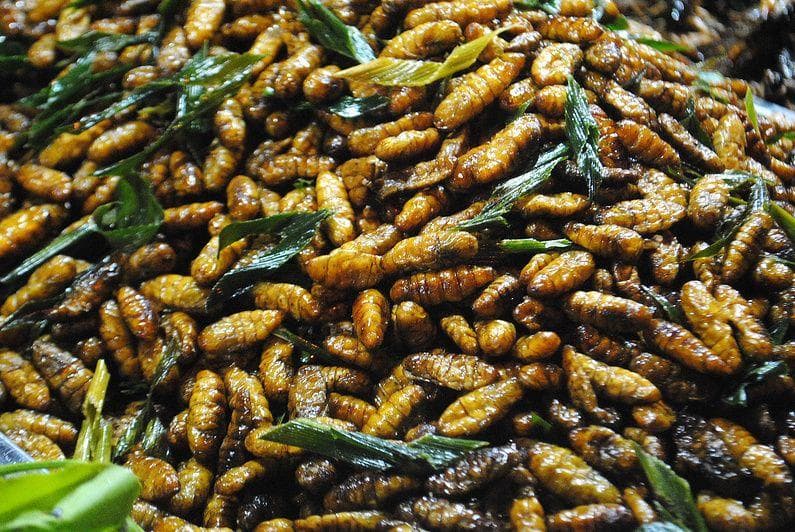 The Most Disgusting Things Ever Found in People's Ears