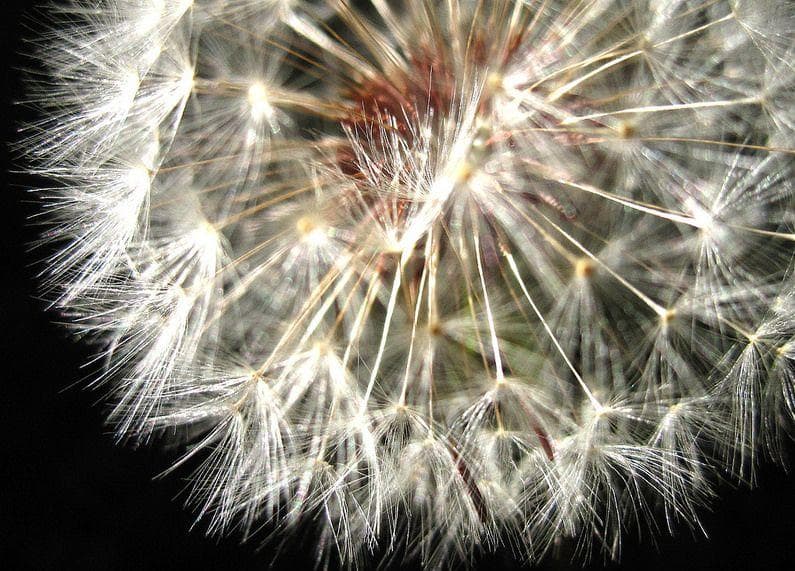 The Most Disgusting Things Ever Found in People's Ears