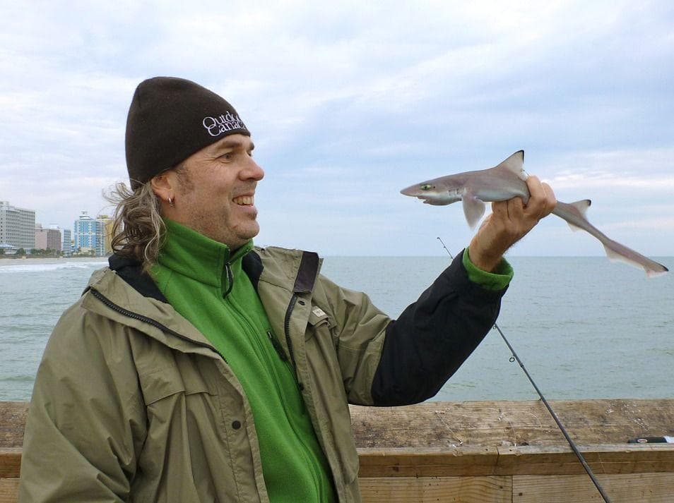 22 Things You Didn't Know About Sharks