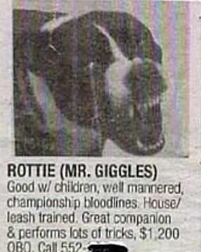 25 Hilarious Classified Ads You'd Respond To