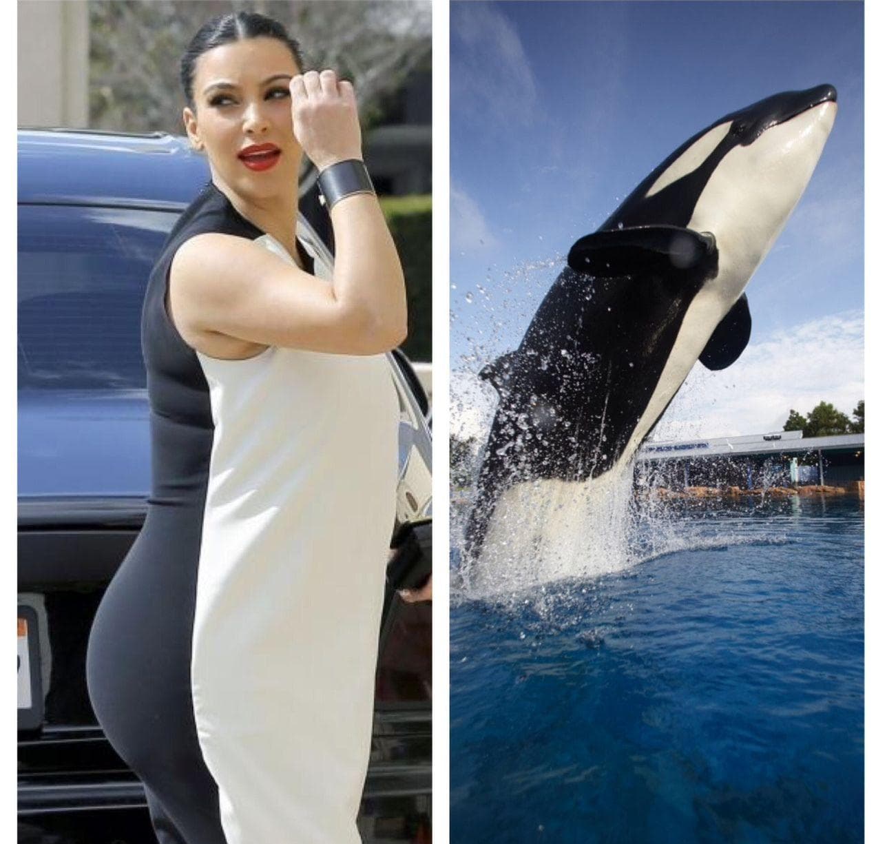 25 Who Wore It Better Memes That You Can't Not Laugh At