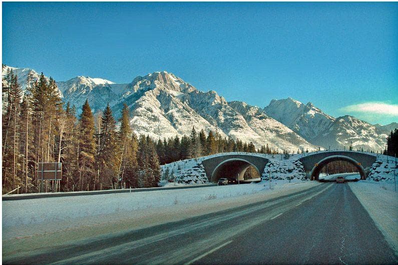 The Longest Roads on Earth