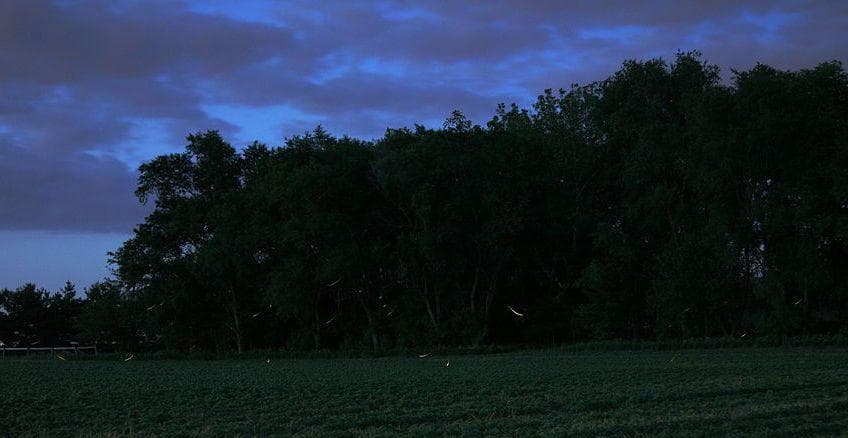 16 Flashy Things You Didn't Know About Light